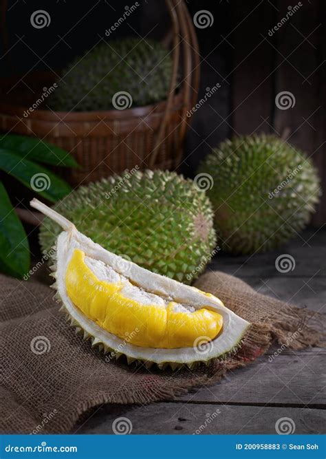 Musang King Durian The Most Delicious Durian In The World Stock