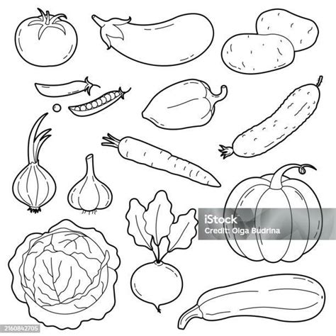 정원 야채 수집 당근 오이 양배추 감자 벡터 손으로 그린 야채 아이콘 세트 벡터에 대한 스톡 벡터 아트 및 기타 이미지 벡터 당근 외형선 Istock
