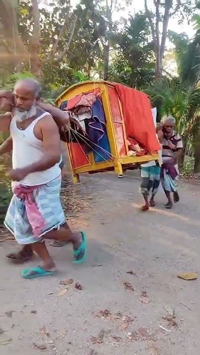 এটা হোলো আাগের পালকী 😍🥰ভিডিও টা দেখেন একবার Shorts Video Subscribers