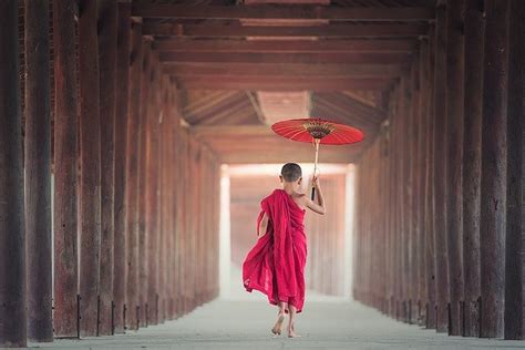 文化人類学って、どんな学問？ Survival Anthropology