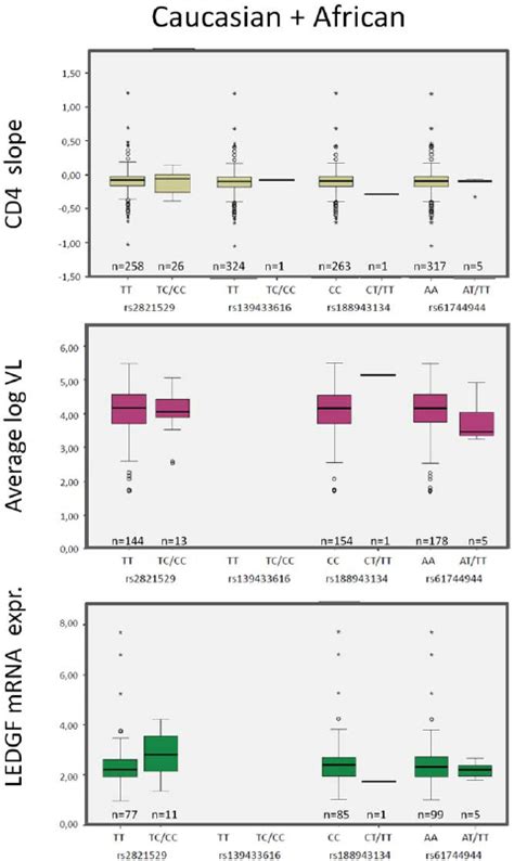 Phenotypic Impact Of Observed Genetic Variants In Download Scientific