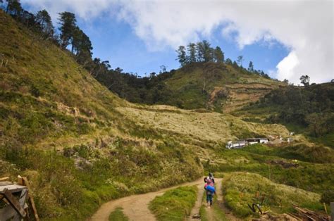 Mt Pulag DIY Travel Guide Via Ambangeg Trail