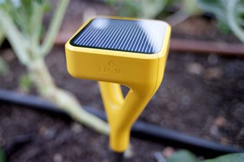 Best Plant Sensors For Smart Gardeners Tips Suggestions
