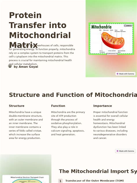 Protein Transfer Into Mitochondrial Matrix Pdf Mitochondrion Protein Targeting