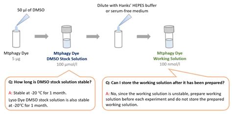 Mitophagy Detection Mtphagy Dye Dojindo