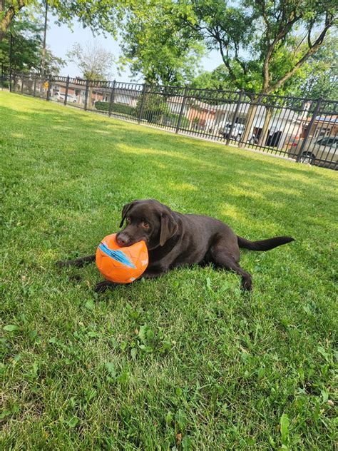 Oliver Left Us Today He Is The Kindest Soul Ive Ever Met R