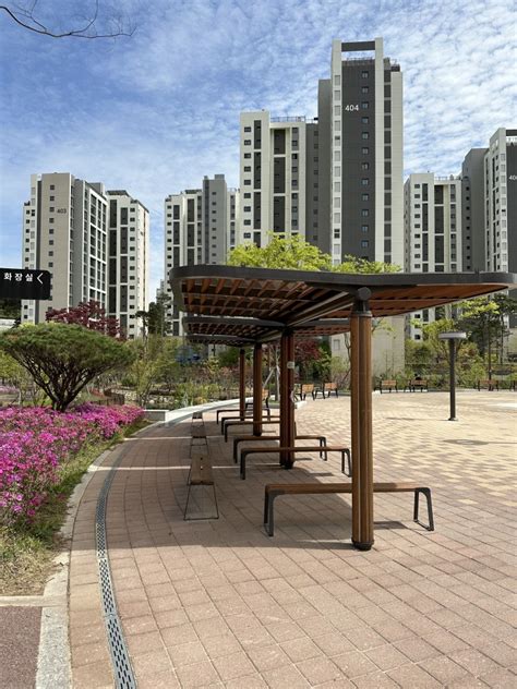 [판교 대장동 야외 요가] 판교 야외 요가 클래스 네이버 블로그