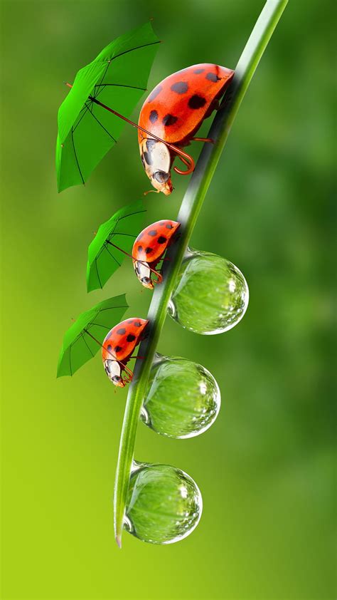 Zedge Cute Love Wallpapers