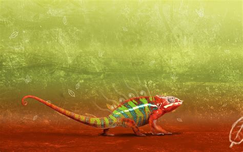 Wow Wallpaper Galleries Iguana Wallpaper