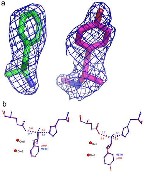 Methamphetamine Structure