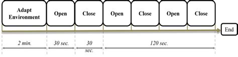 The Analytical Procedure Of Eeg Signal Processing Download Scientific