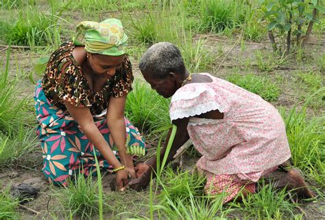 CÔTE DIVOIRE Annual Report 2021