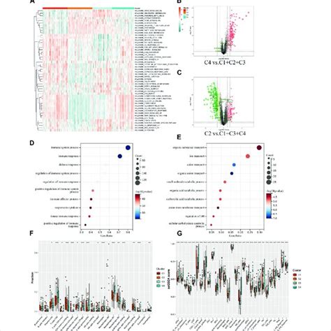 Functional Analysis Of Molecular Subgroups In Ifta A Heatmap Of Four