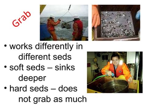 Sampling The Benthos Ppt