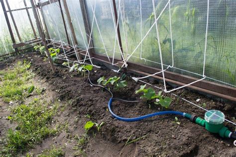 Как сделать капельный полив для теплицы своими руками