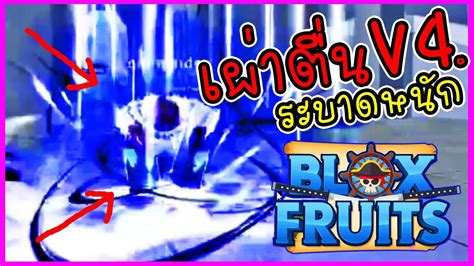 เผ่าตื่นv4 ระบาดหนัก สนุกแน่งานนี้ 🌊blox Fruit Youtube