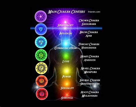 What Is A Chakra Dr Kevin Gyurina