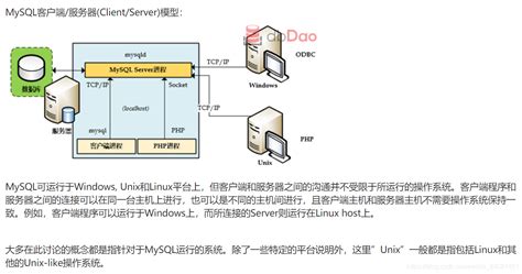 数据库与mysql之间的关系及概念 mysql和数据库的关系 csdn博客