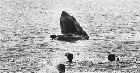 This Shot Of Bruce The Shark About To Eat Little Alex Kintner In Steven