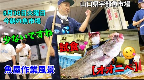 Kg Youtube