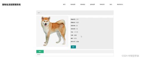 独有源码 Java Jsp宠物生活馆管理系统2dfu8规划与实现适合自己的毕业设计的策略 Csdn博客