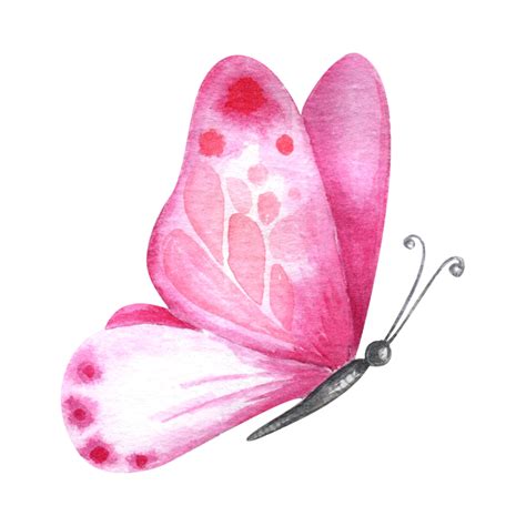 Rosa Borboleta Png Borboleta Clipart Clipart Motivos 48 Off