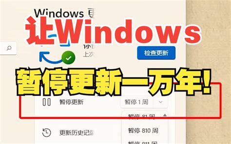 这7招让你电脑速度快到起飞直接加载进内存读取从此告别 Win10 11 系统卡顿慢等问题 零度解说 bilibili B站 无