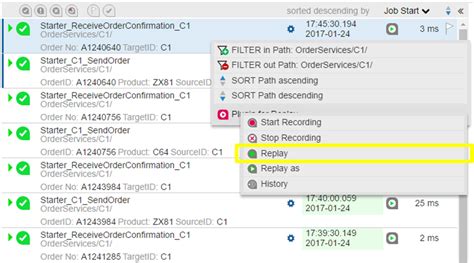 Working With Njams Client For Bw6 — Integration Matters Documentation