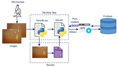 Yolov8 Based System For Nail Capillary Detection On A Single Board Computer