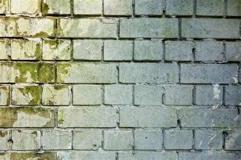 Jak usunąć grzyb ze ściany InfoBudowa pl