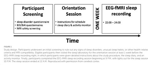 Figure 1 From Functional Differences In Cerebral Activation Between