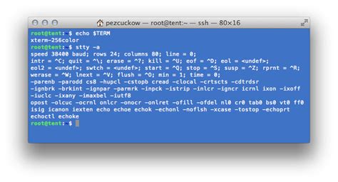 centos server bash line wrapping over text and in wrong place server