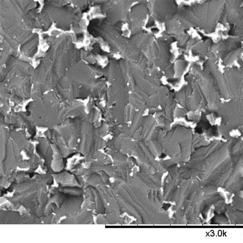 Scanning Electron Micrograph Showing The Fracture Surface Of Grade A