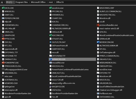 c program files common files microsoft shared clicktorun 里的
