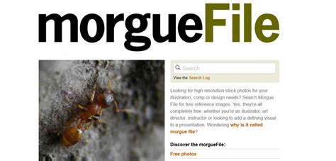 Morguefile Tutorialchip