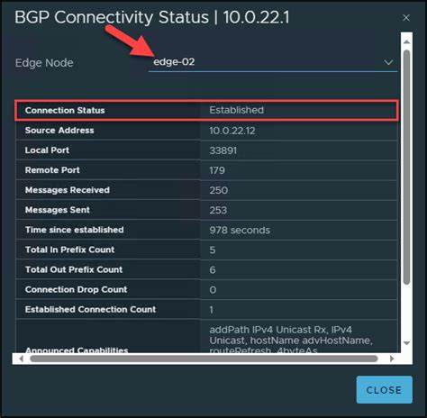 How To Administratively Disable A Bgp Peer On Nsx Dpc Virtual Tips