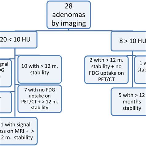 Characteristics Of Adenomas Defined By Imaging Download Scientific