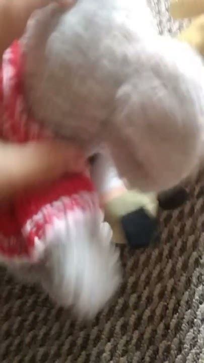 Солнышко проснулось новый день на дворе 😊 Youtube