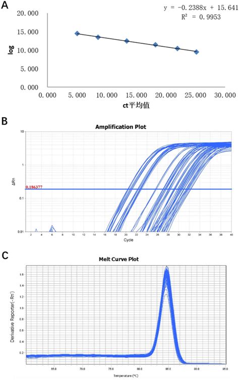 Pcr Curve Of Pg A The Standard Curve B Amplification Curve C