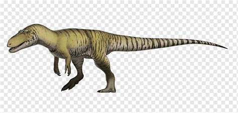 Dinosaur King Megalosaurus Card