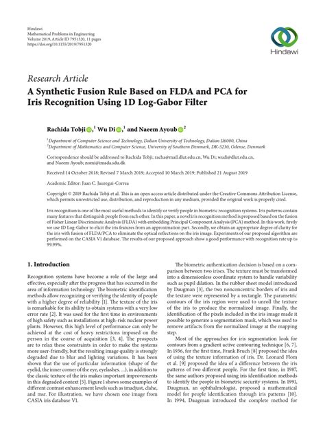 Pdf A Synthetic Fusion Rule Based On Flda And Pca For Iris Recognition Using 1d Log Gabor Filter