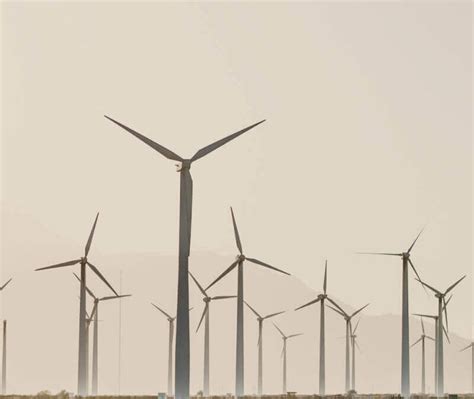 Fin De Los Valores Por Defecto Cbam C Mo Prepararse Vat Green Tax