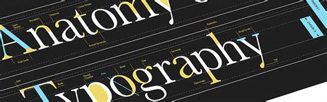 Anatomy Of Typography A Complete Guide For Beginners In 2025 All Time Design