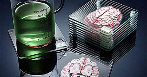Brain Specimen Coasters Album On Imgur