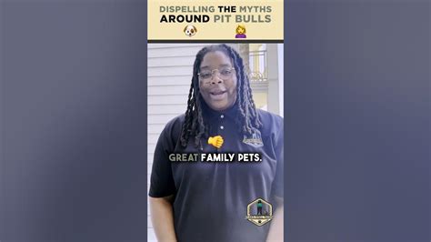 Dispelling The Top Five Myths About Pit Bulls Youtube
