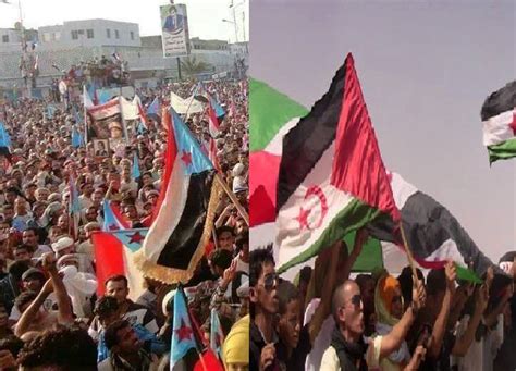 اخبار الصحراء الغربيه والجنوب العربي