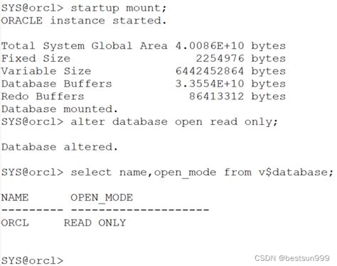 Oracle只读打开数据库ora 16000 Csdn博客