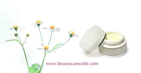 Chamomile Absolute Benefits For Skin Beauty Care Code