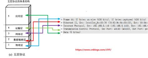 Wireshark抓包分析tcp建立释放链接的过程以及状态变迁分析 Jiyf 博客园