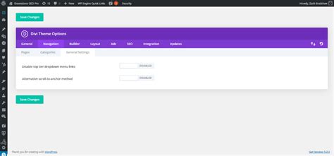 Basic Divi Theme Options Walkthrough Steal Our Exact Settings And Set